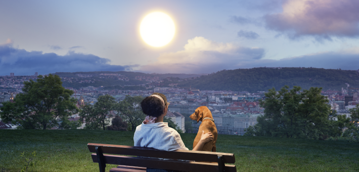 Official Patient Website | TALVEY® (talquetamab-tgvs)